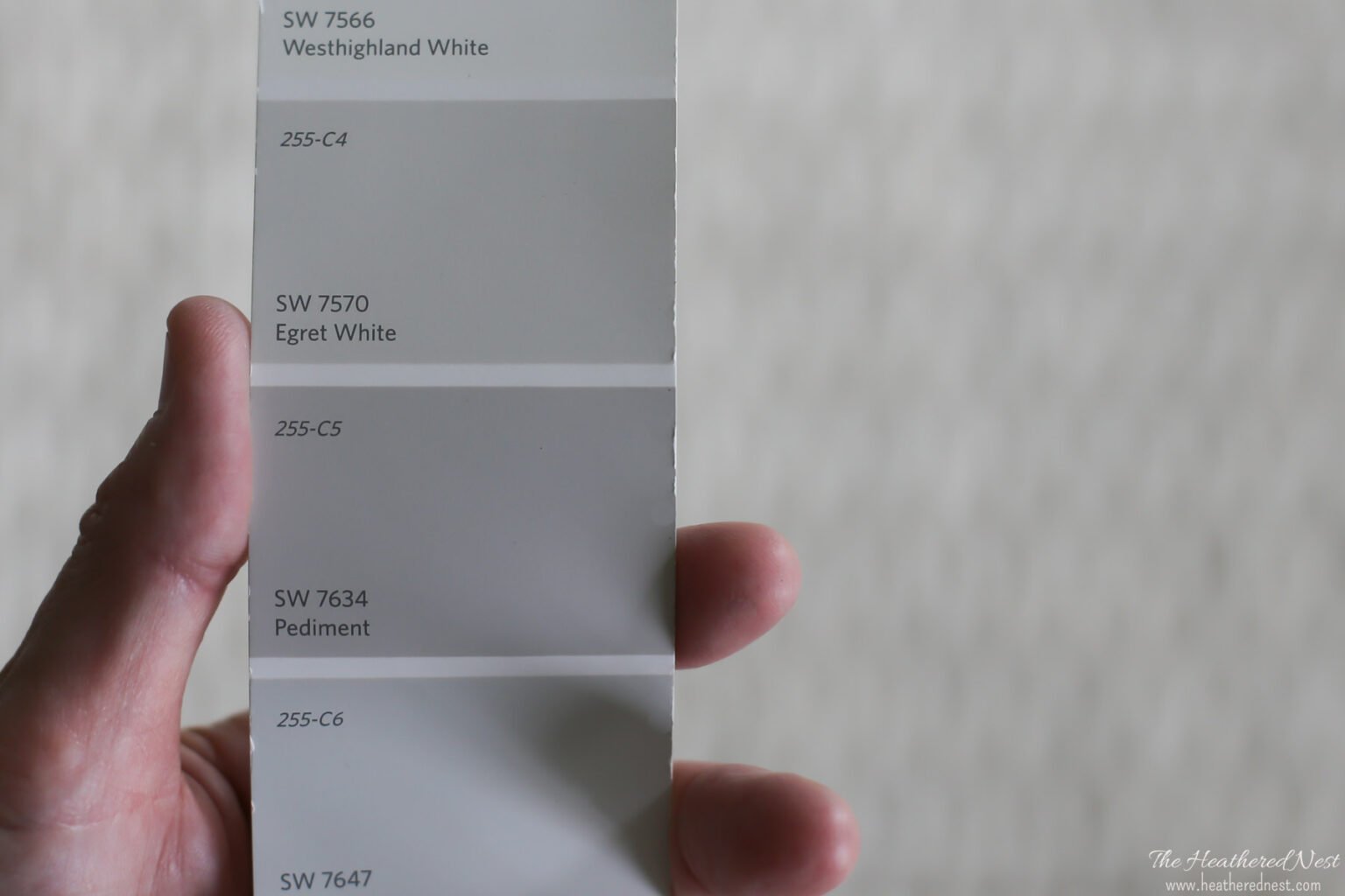 Sherwin Williams Egret White (SW 7570): ULTIMATE Review + Pictures