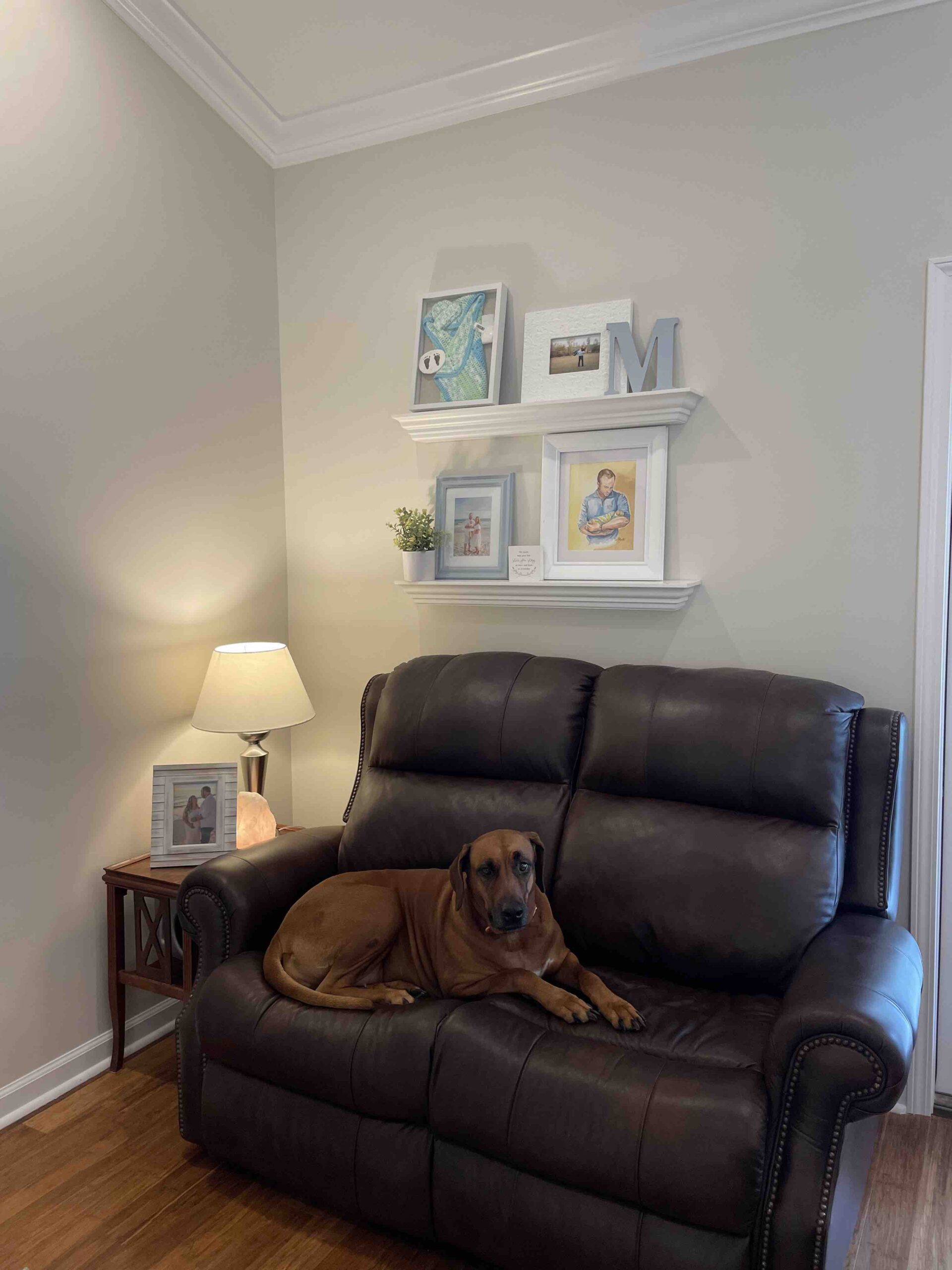Sherwin Williams Natural Tan 7567: Timeless or Tired? - The Heathered Nest
