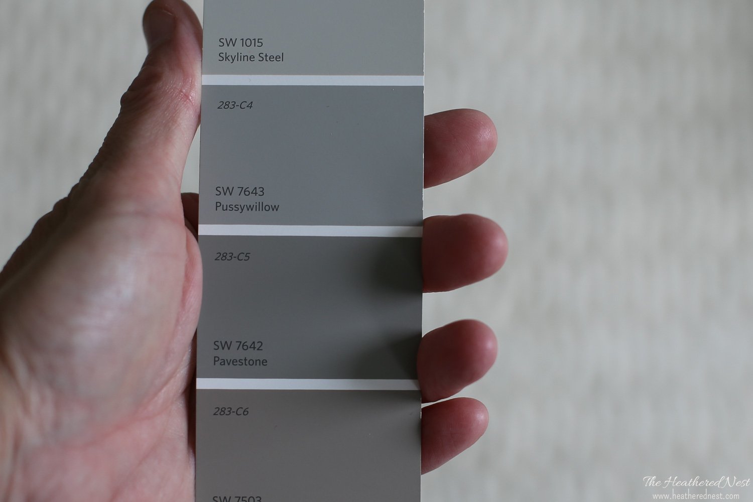 Sherwin Williams Pussywillow SW 7643: BEST Review + Pics - The Heathered Nest