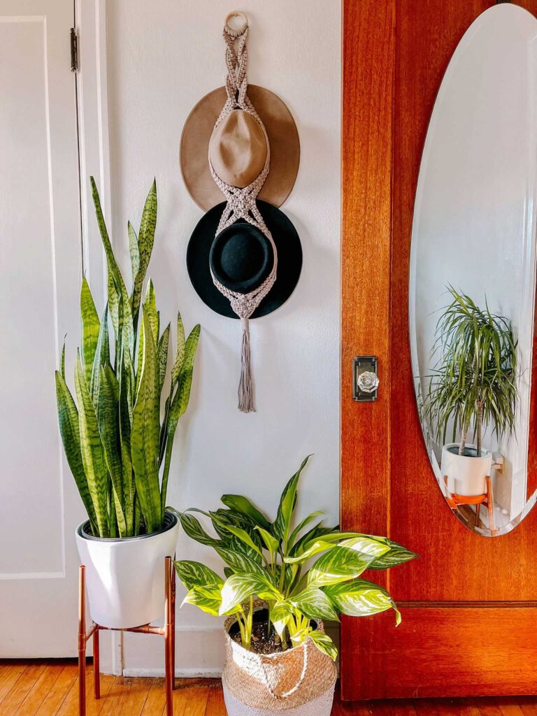 15 Best DIY Hat Storage Ideas To Organize At Home